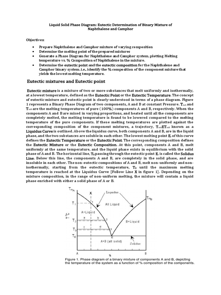 Determining the Eutectic Point of the Naphthalene-Camphor Binary System ...