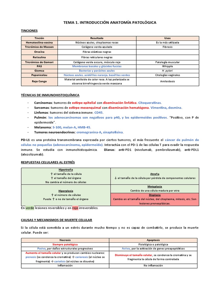AP y Anatomía - Resumen | PDF | Inflamación | Especialidades Medicas