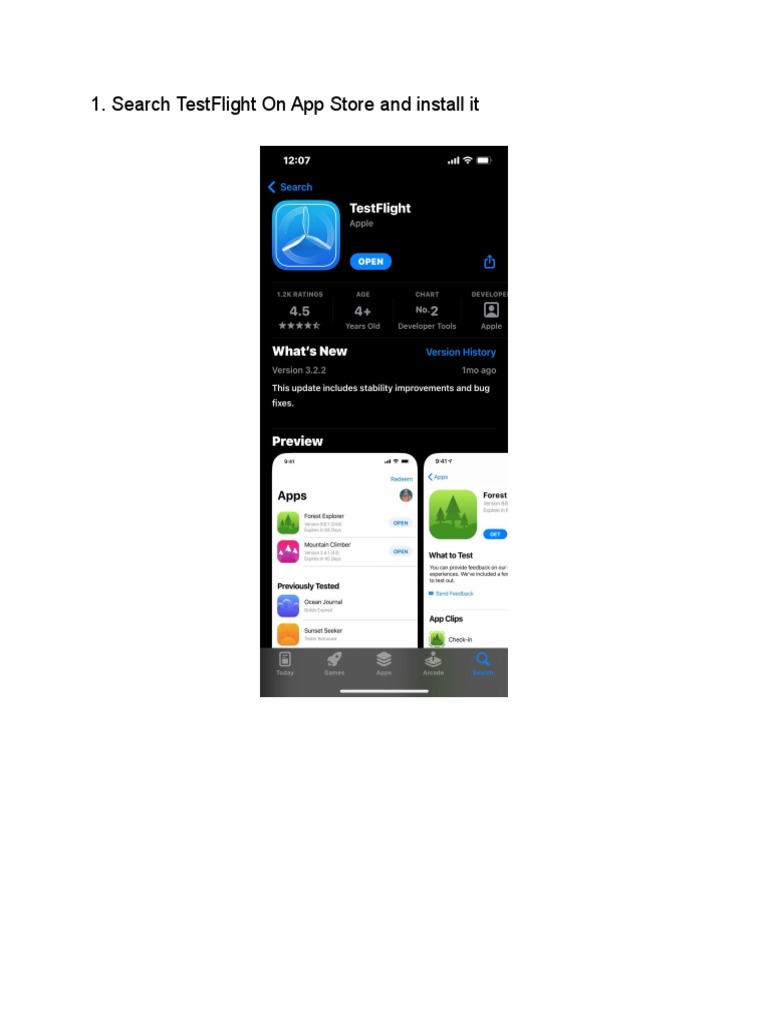 TestFlight Guide | PDF