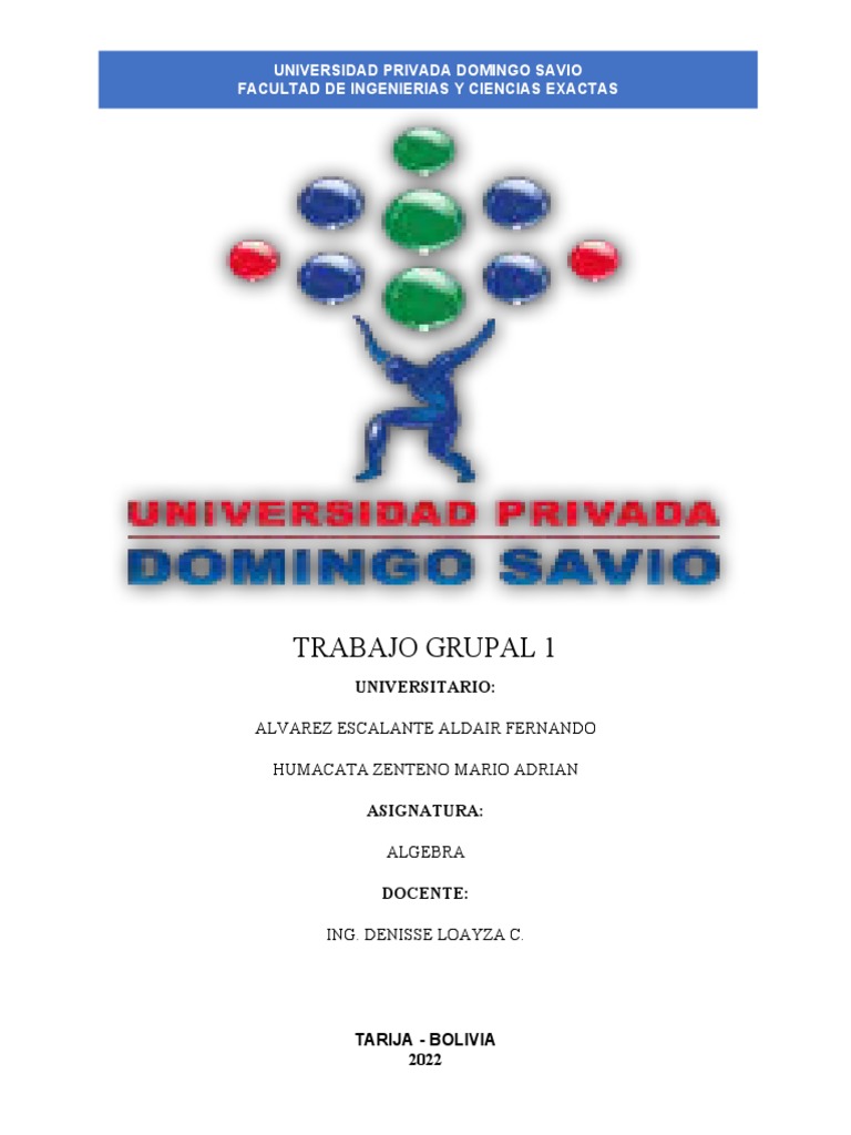 Trabajo Grupal 1 Algebra Upds | PDF | Matriz (Matemáticas) | Multiplicación