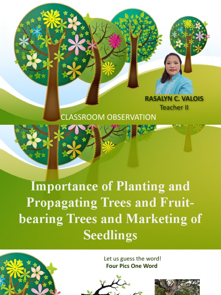 Importance of Planting and Propagating Trees | PDF | Plants | Trees