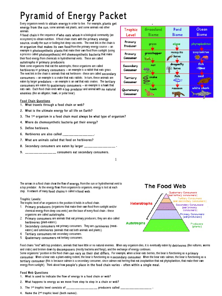 1 in Food Chains and Webs What Trophic Level Must You Have More of Than ...