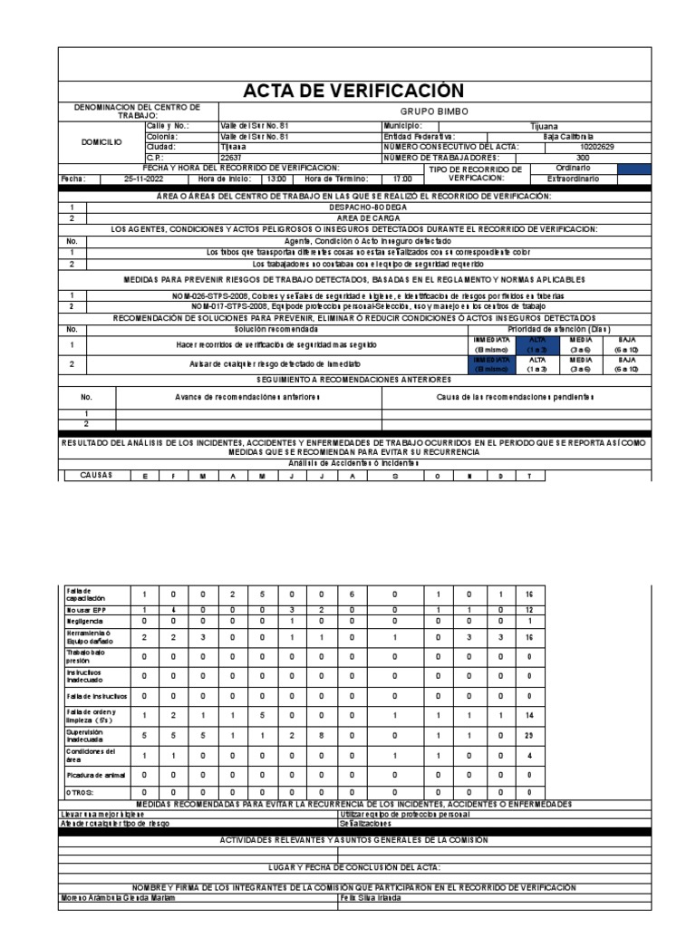 Formato de Acta de Verificacion - Hoja para Imprimir | PDF