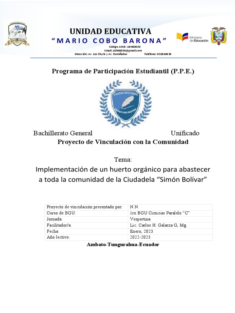 Proyecto Estudiantil | PDF
