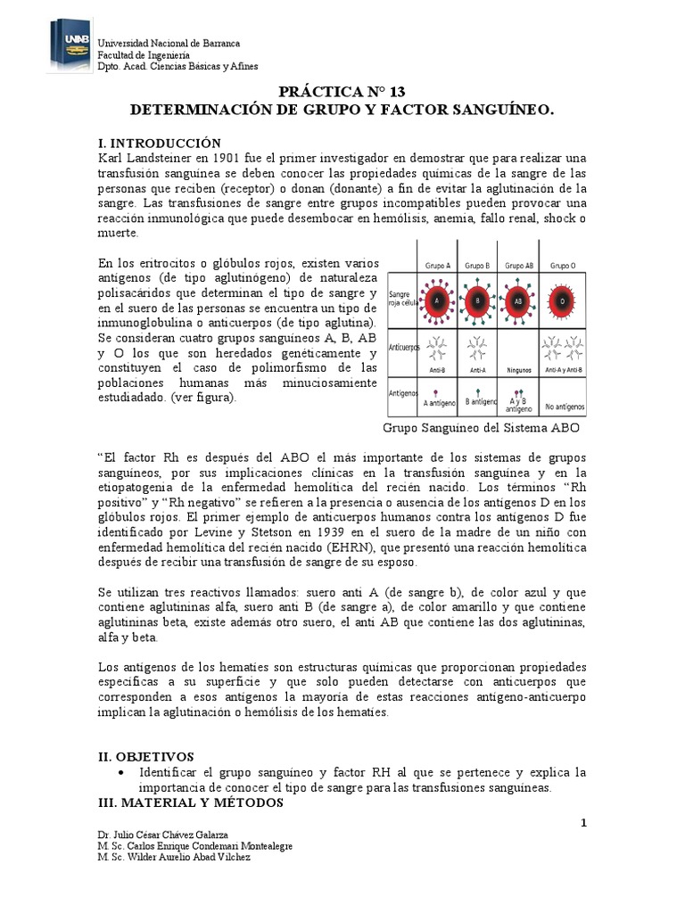 Práctica N 13 Grupo Sanguineo y Factor RH | PDF | Tipo de sangre | Medicina CLINICA