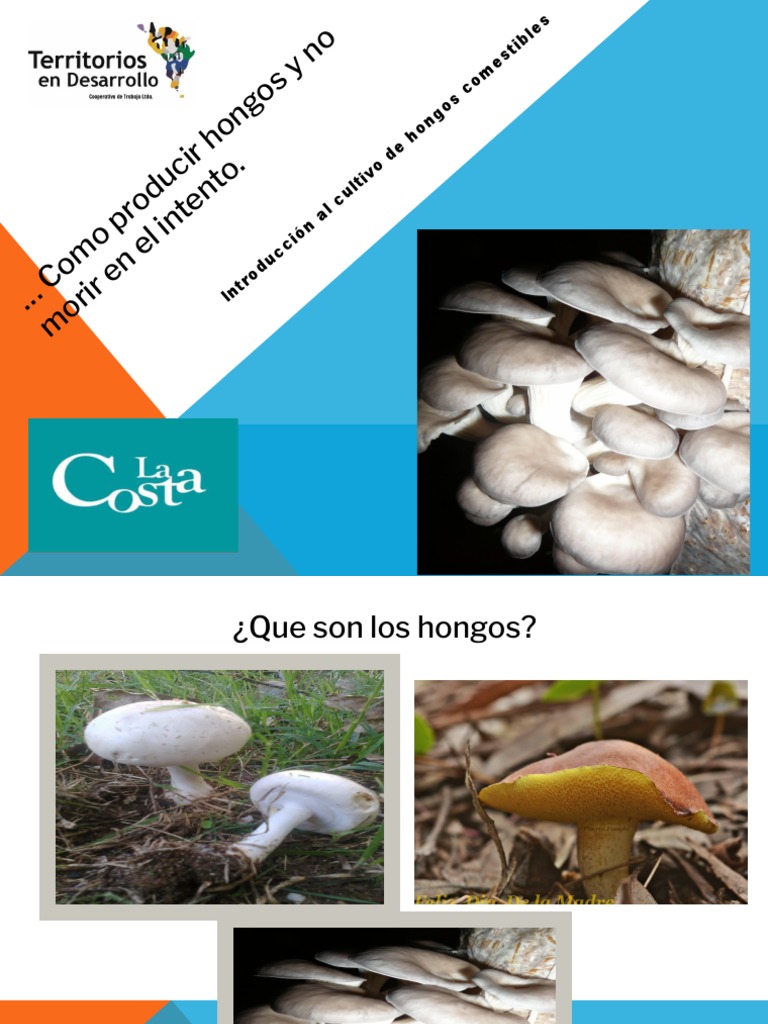 Presentación Sin Título | PDF | Hongo | Compost