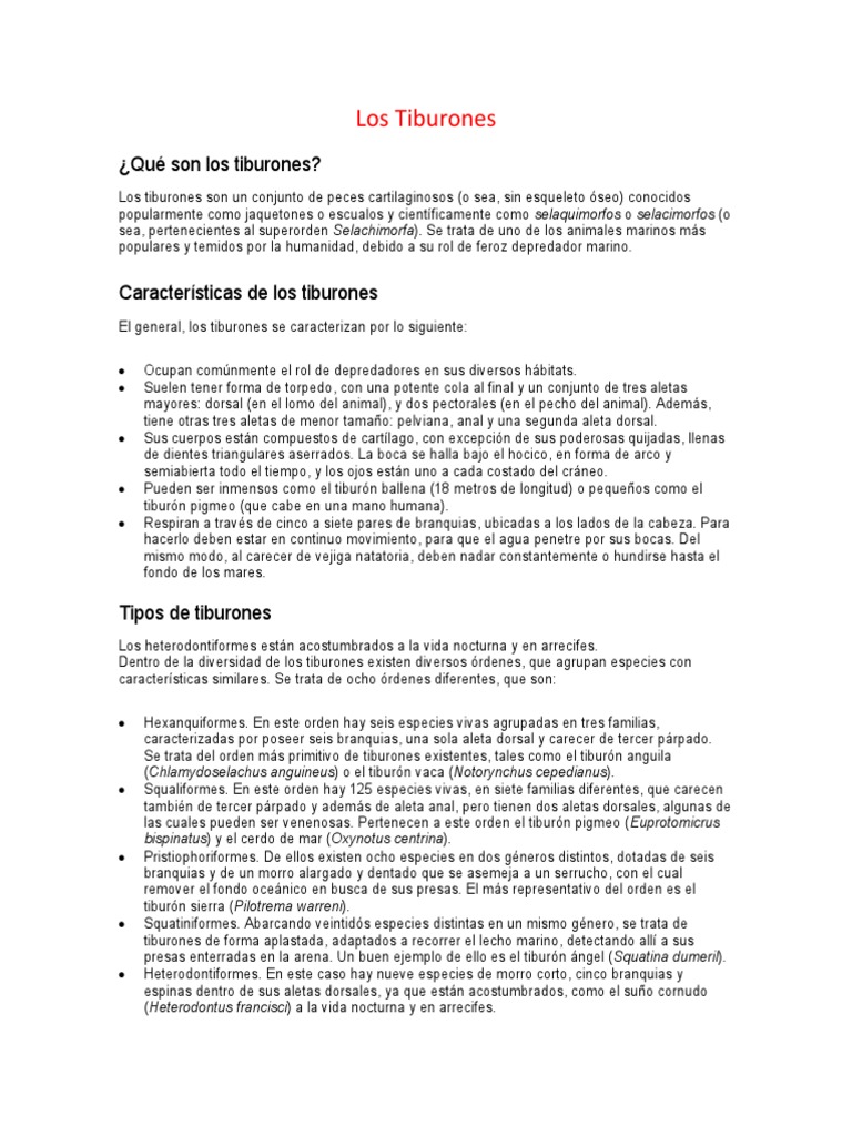 Guía Completa Sobre Tiburones Pdf Tiburones Pescado