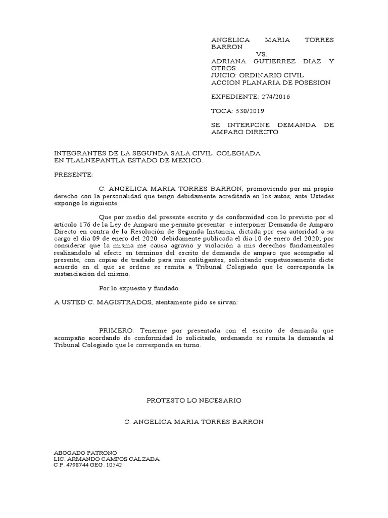 Amparo de Angelica Maria Torres Barron | PDF | México | Sentencia (ley)