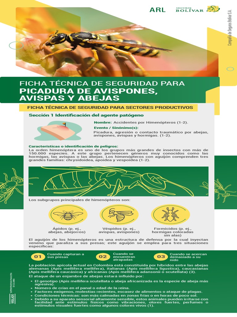 FTS 20. Picadura Avispones - Avispas - Abejas | PDF | Avispa | Alergia