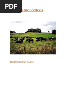 NIF E1 - Activos Biológicos | PDF | Valoración (Finanzas) | Economias