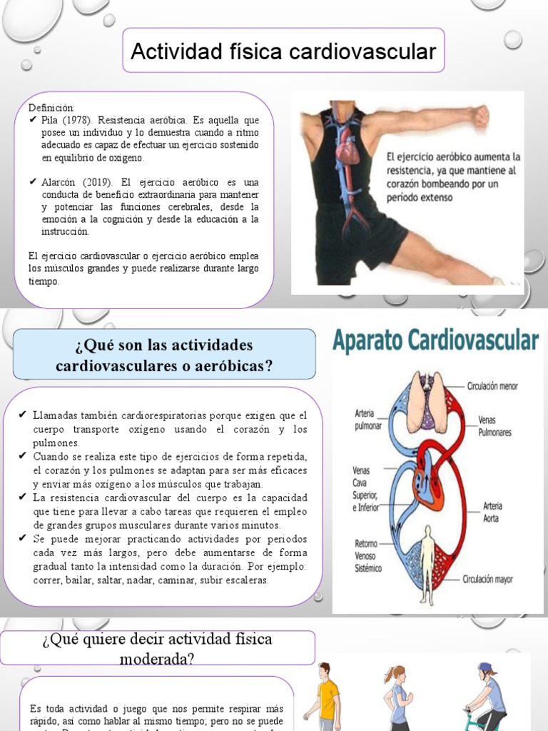 Actividad Cardiovascular UNE 7 | PDF | Ejercicio aerobico | Ritmo cardiaco