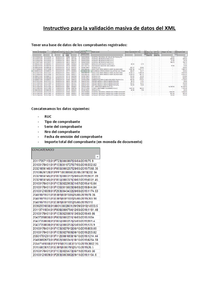 Instructivo Para La Validación Masiva De Datos Del Xml Pdf 