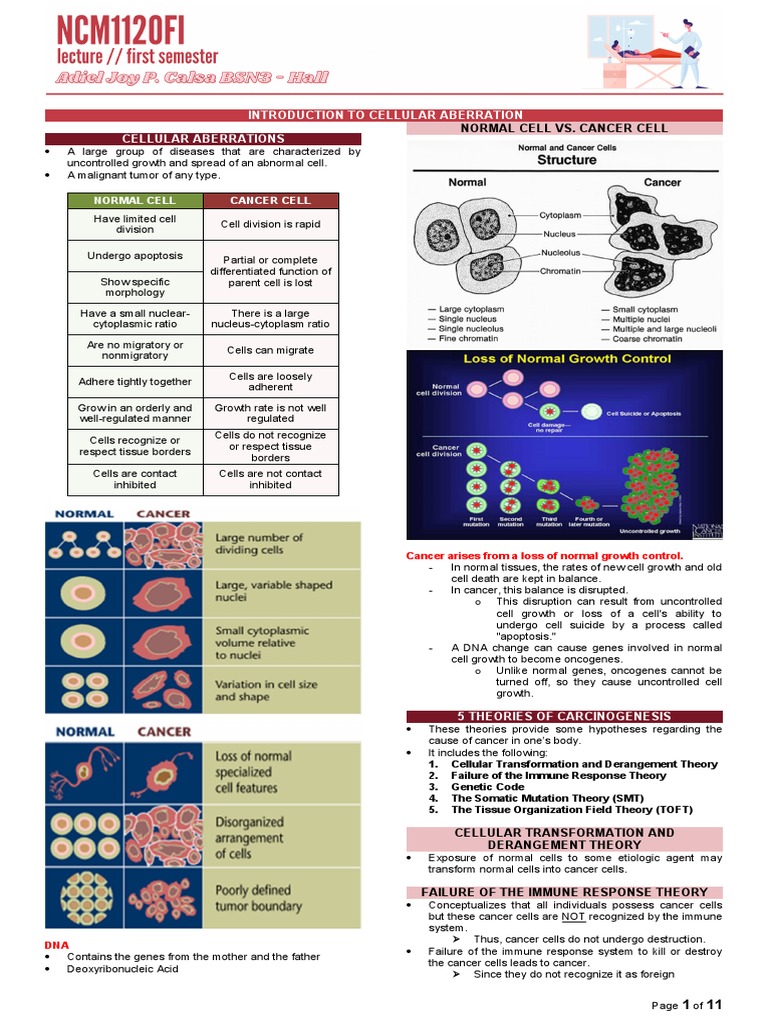 Introduction To Cellular Aberration | PDF | Metastasis | Immune System
