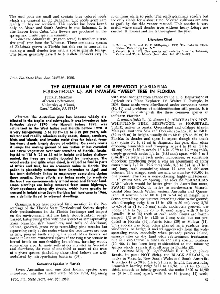 The Australian Pine or Beefwood Casuarina Equisetifolia L An Invasive ...