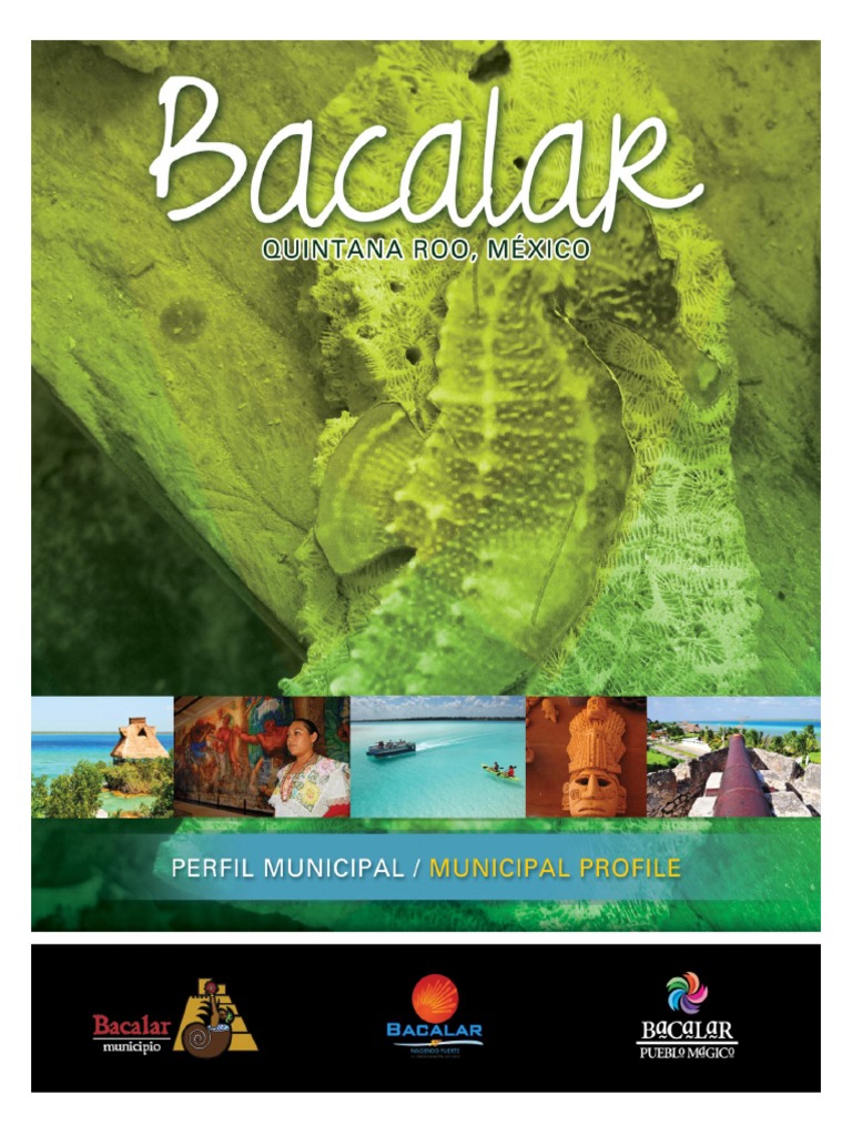 Bacalar Perfl Mpal | PDF | Ciencias sociales