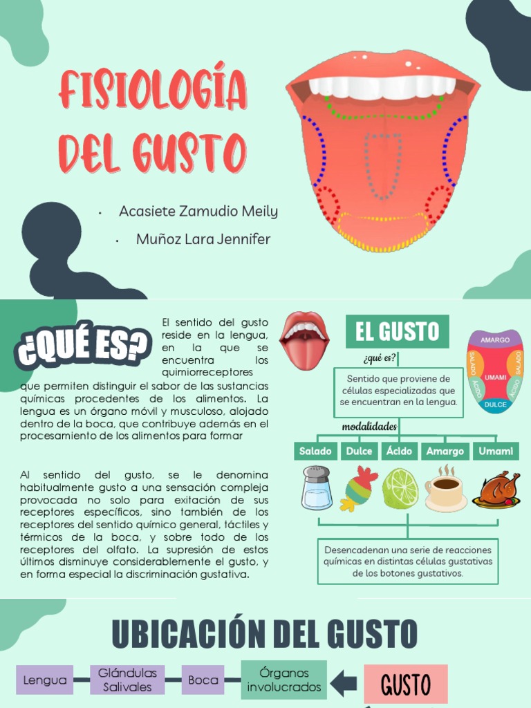 Fisiología Del Gusto (2) | PDF