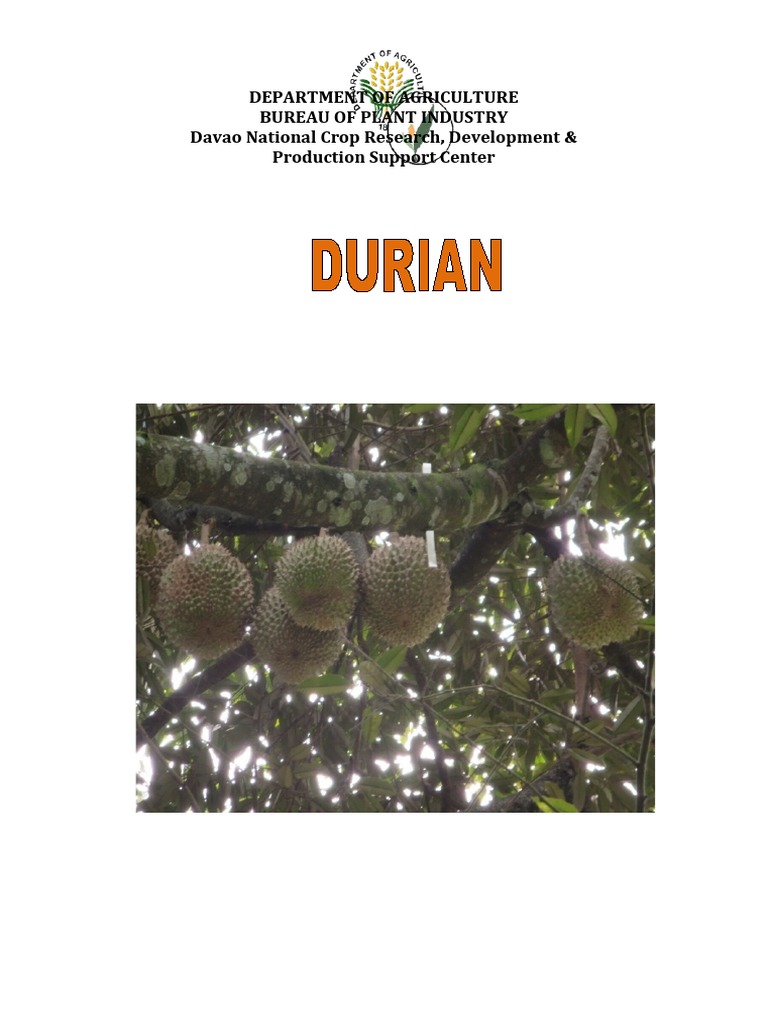 Durian Production Guide Updated 2017 | PDF | Mulch | Mindanao