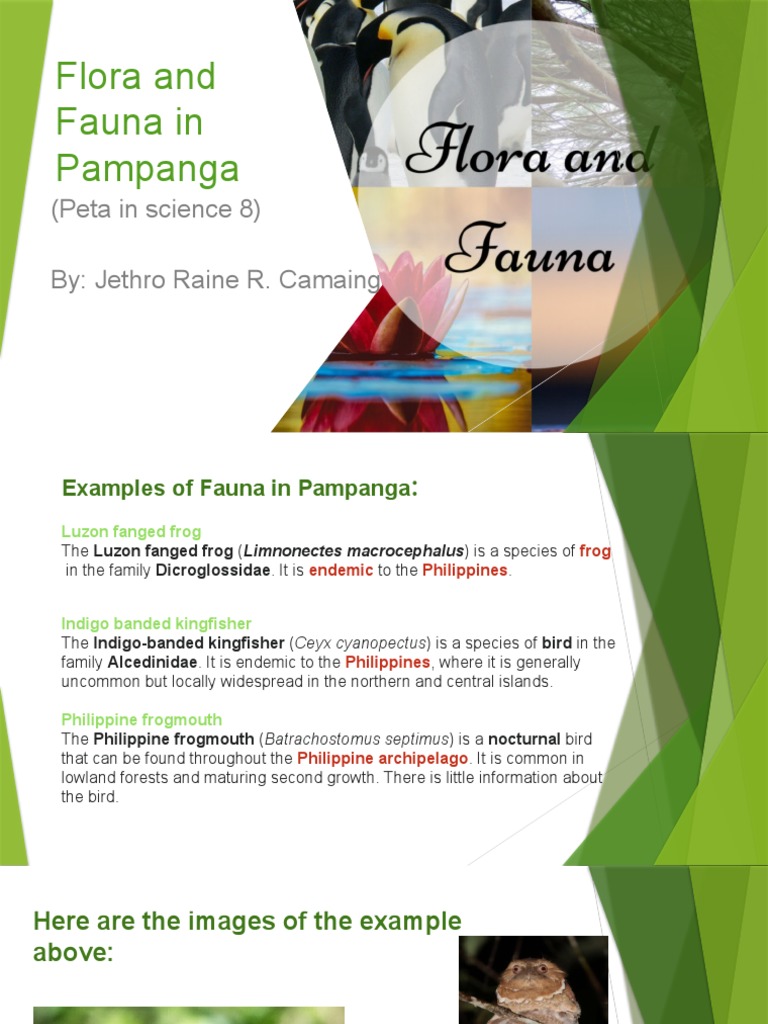 Jethro Raine Camaing - Flora and Fauna in Pampanga | PDF