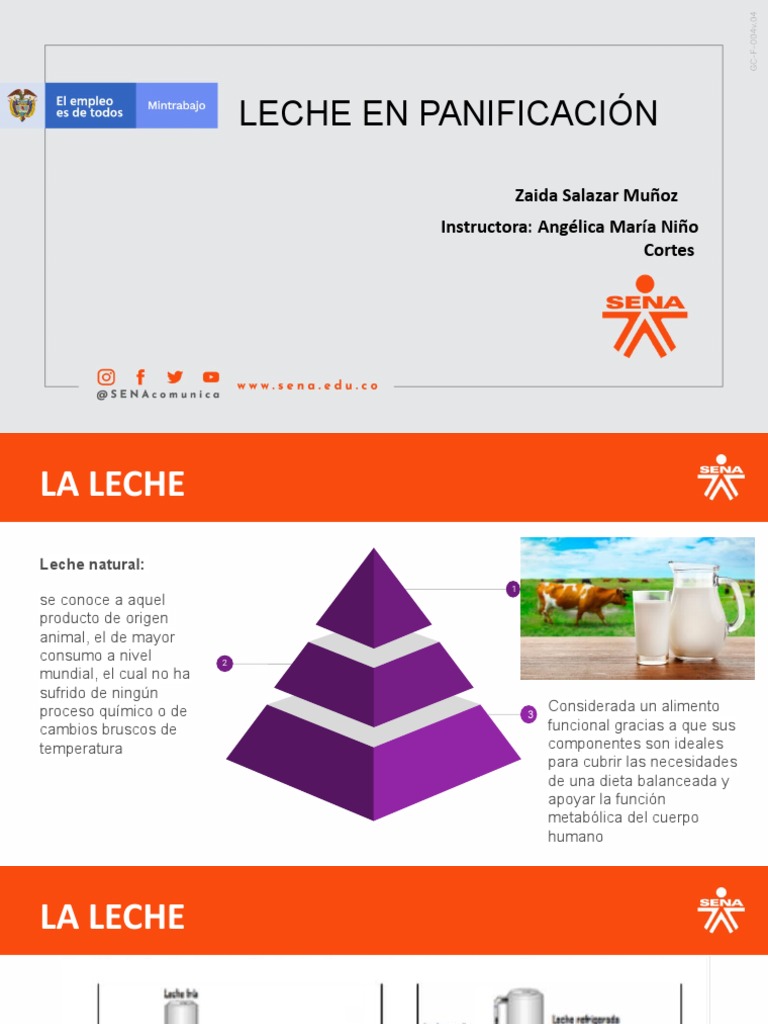 Leche en Panificación | PDF | Leche | Panes