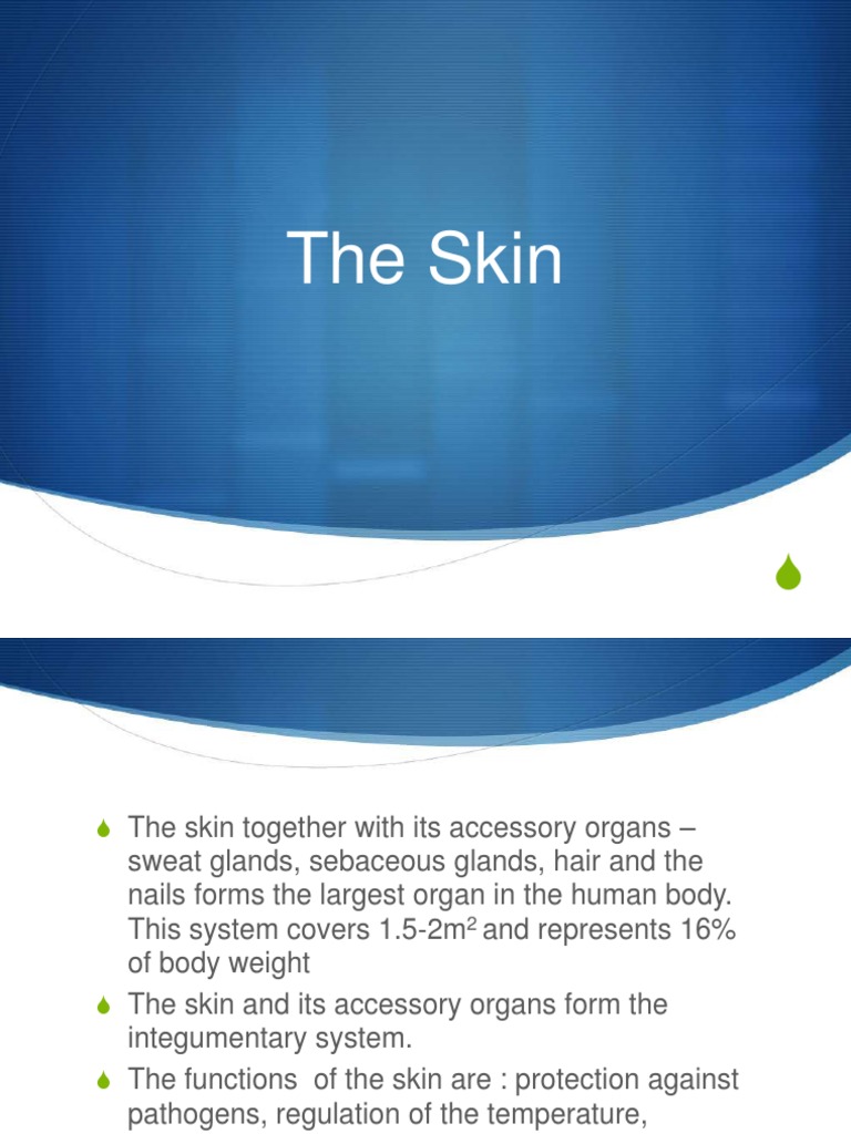 Theskin 110612202329 Phpapp01 | PDF | Skin | Epidermis