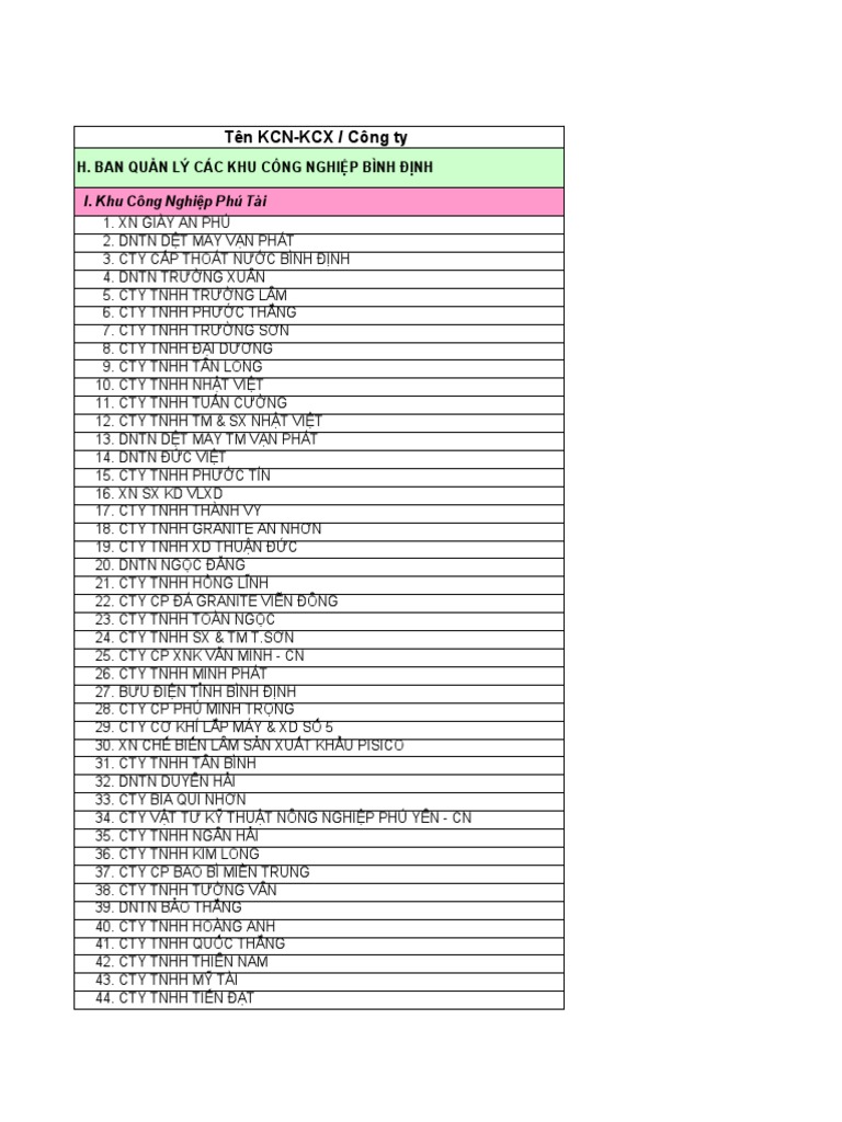 Danh Sach Cac Cong Ty Trong KCN Binh Dinh 051108 | PDF