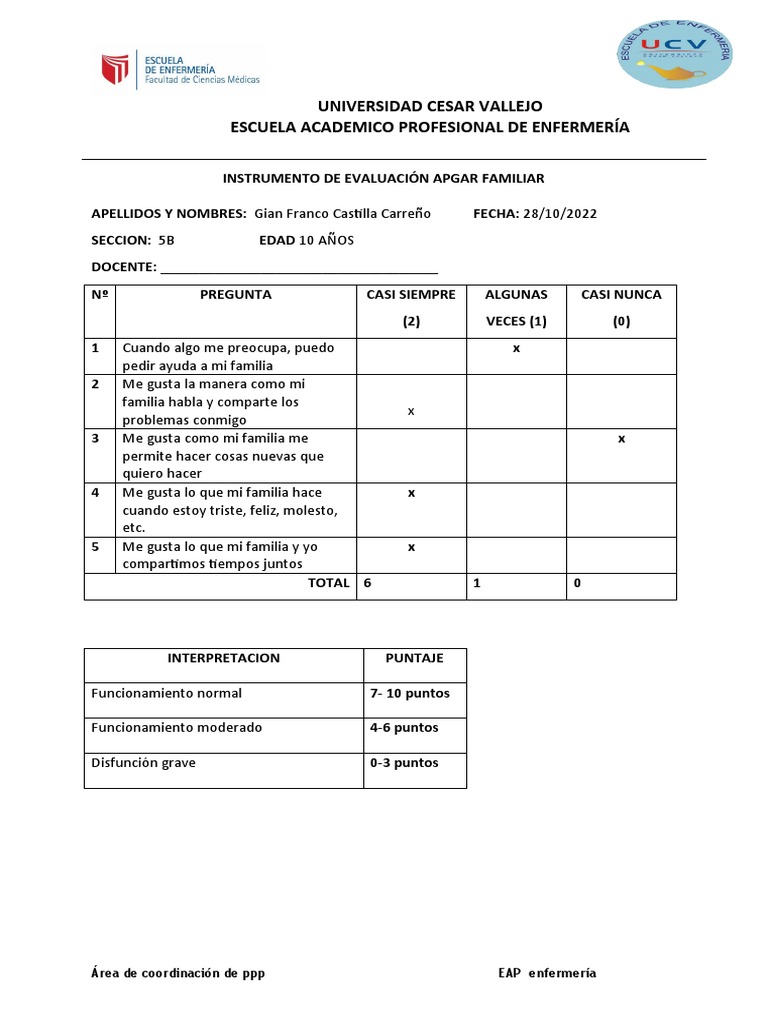 Ficha APGAR Familiar | PDF