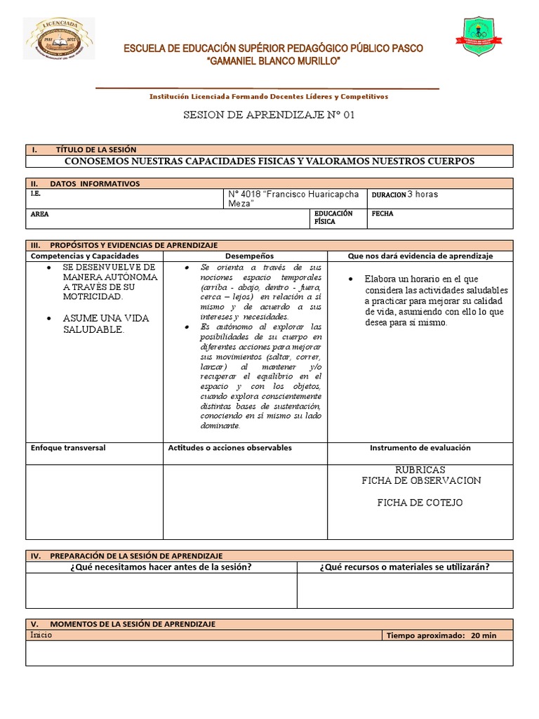 Esquema Sesión Silvia | PDF | Aprendizaje | Método de enseñanza