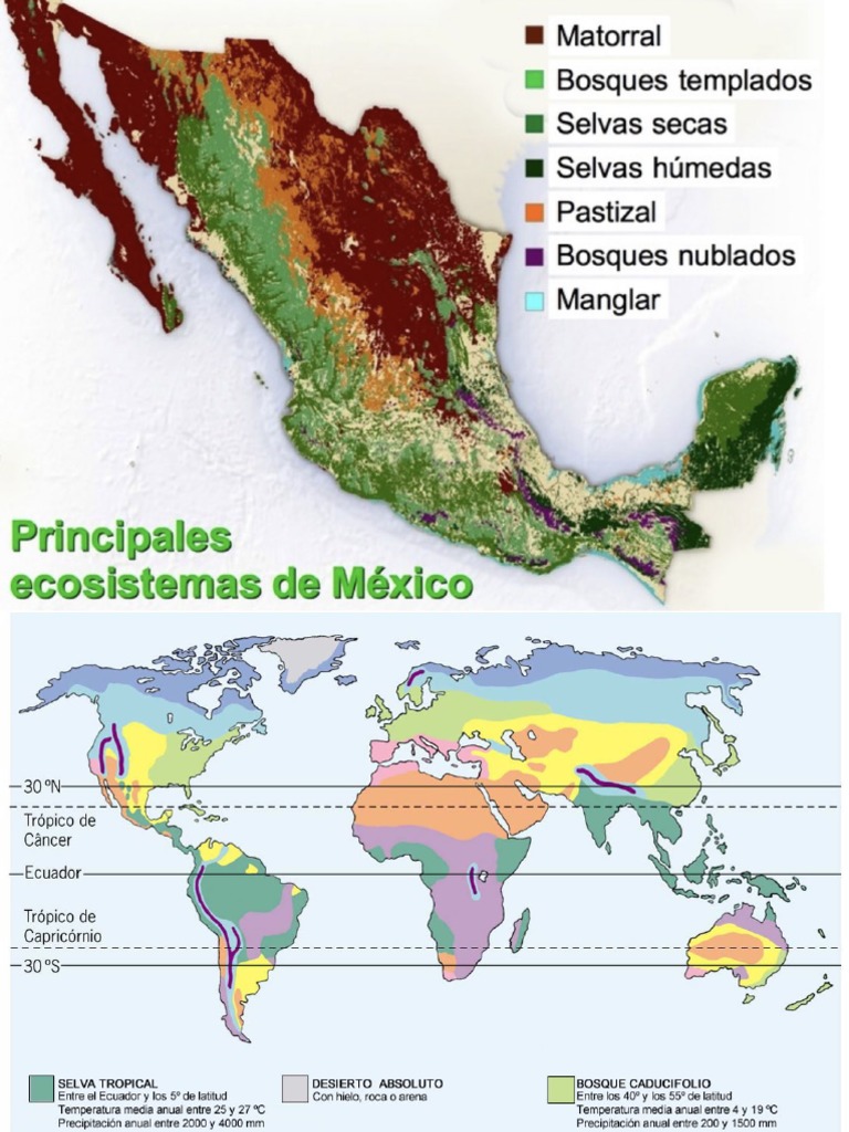 Mapa Biomas - Ecosistemas | PDF