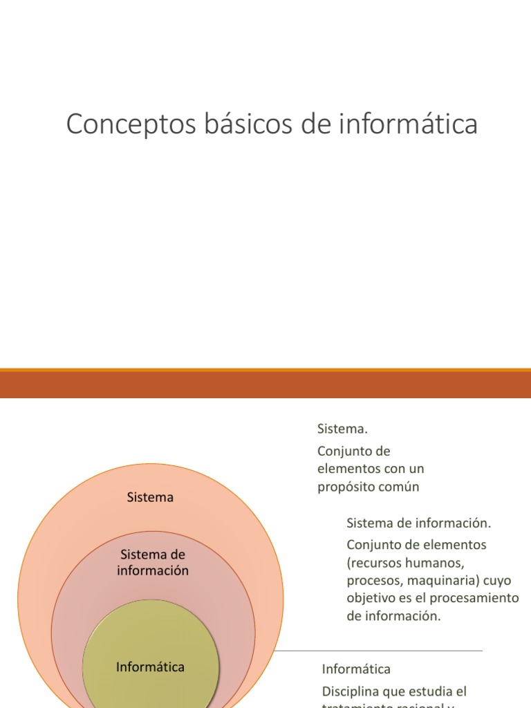 Conceptos Basicos de Informatica | PDF | Hardware de la computadora | Informática