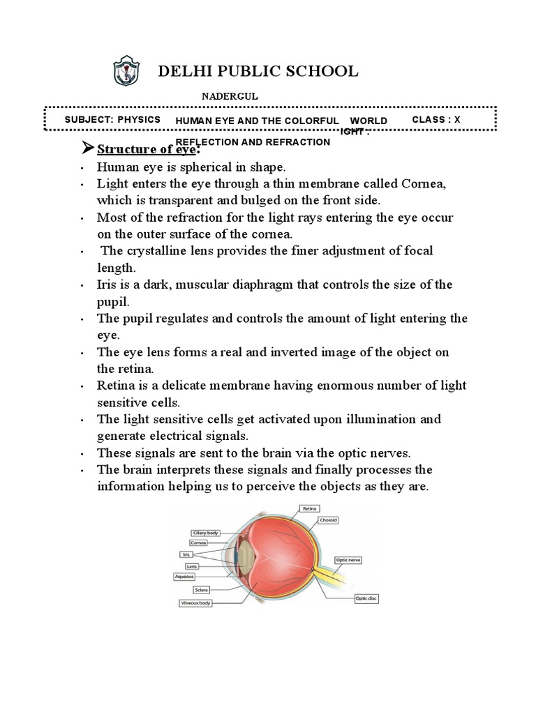 CH 4 Human Eye Notes New | PDF | Atmosphere Of Earth | Eye