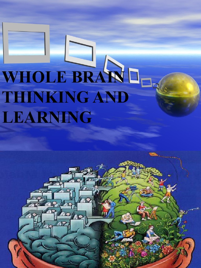 Brain Functions | PDF