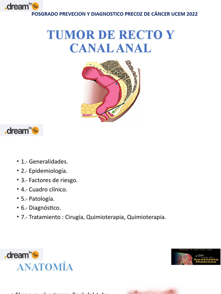 Tumores de Recto y Canal Anal | PDF | Cáncer | Cáncer colonrectal