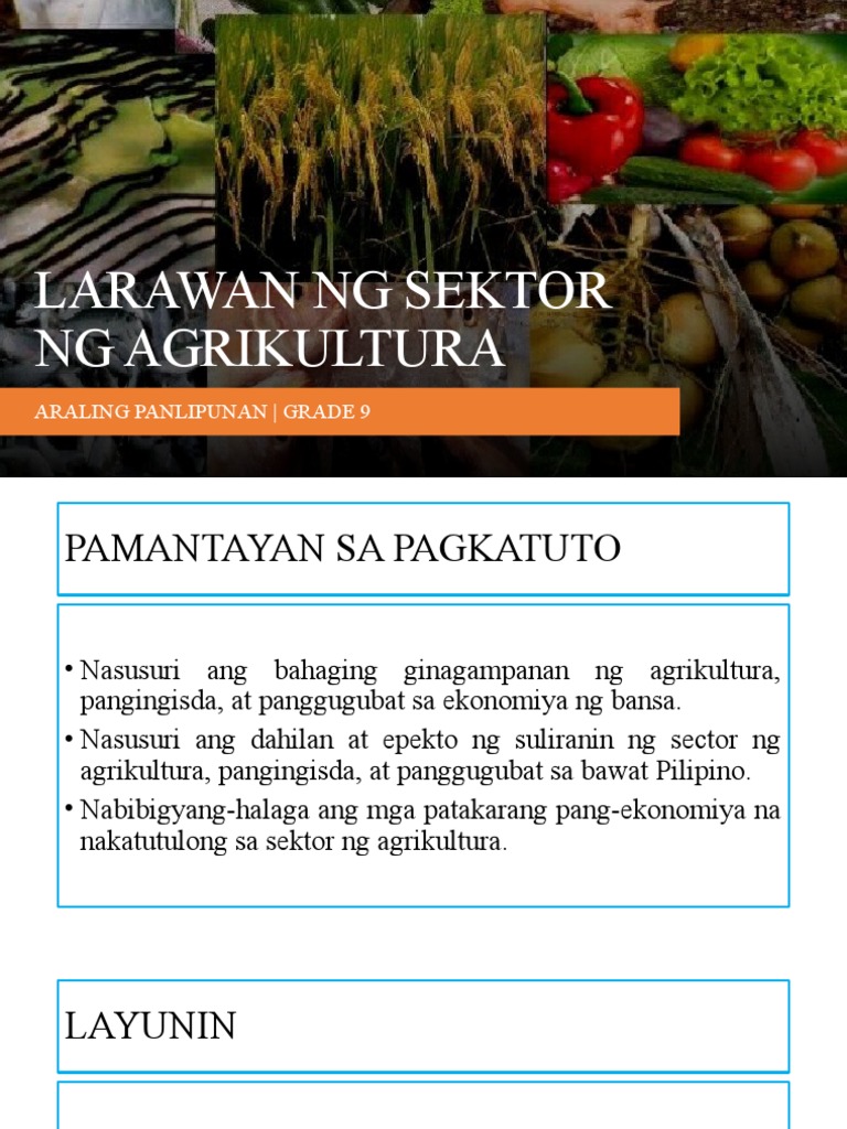 AP 9 - Larawan NG Sektor NG Agrikultura | PDF