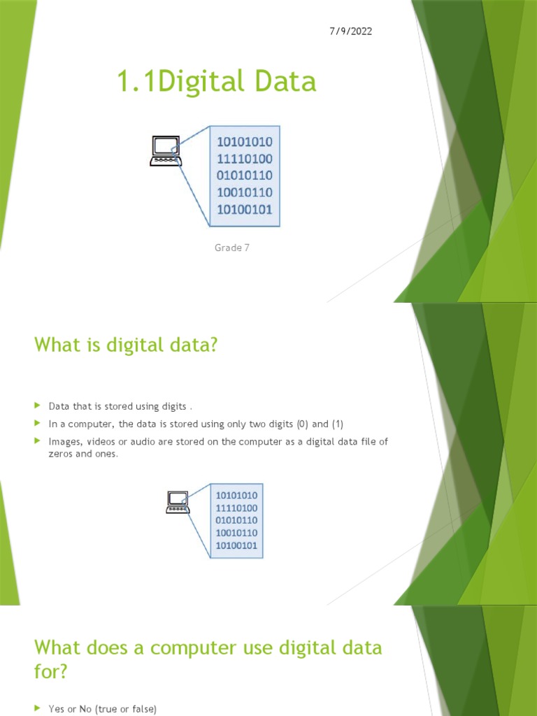 Lesson (1) Digital Data | PDF