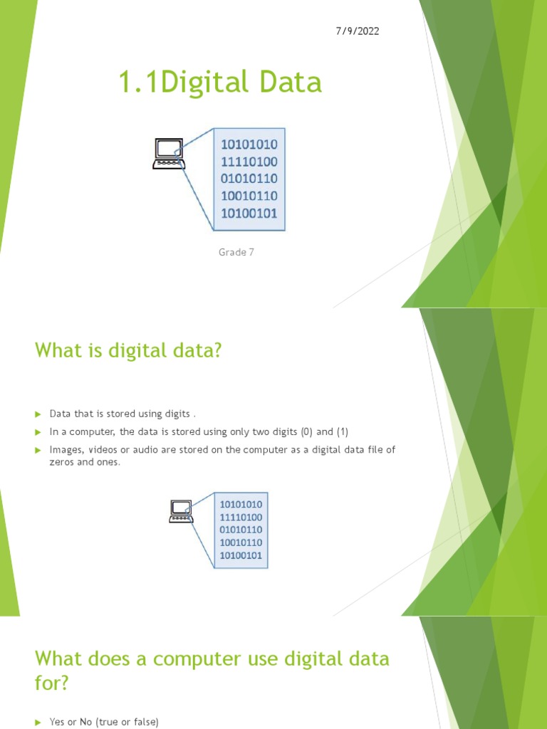 Lesson (1) Digital Data | PDF