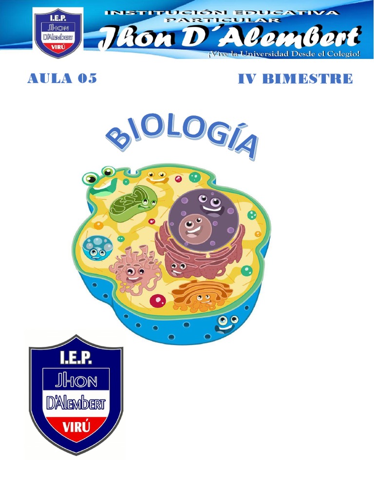 Biología 05-Ivb | PDF | Riñón | Sistema urinario