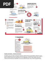 Prensa de Herofilo | PDF | Cerebro | Vena