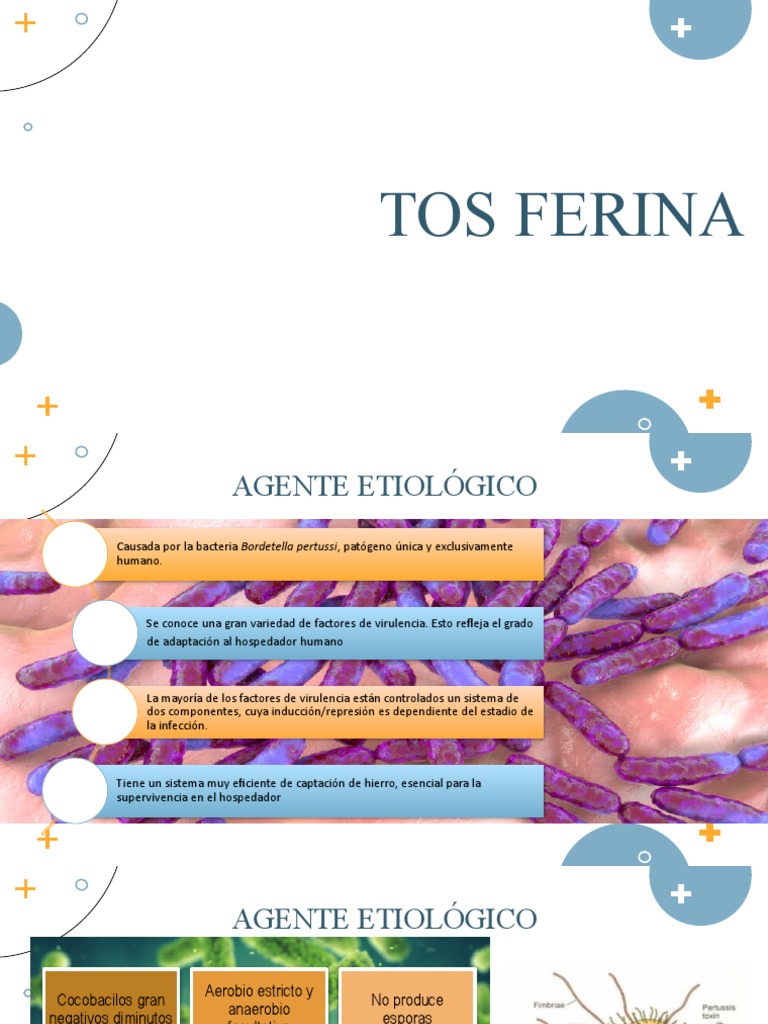 Petequias en Tos Ferina | PDF | Especialidades Medicas | Medicina CLINICA