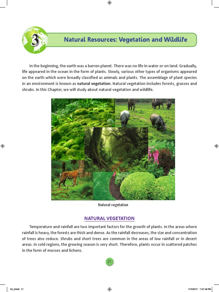 We and Our World 2 | PDF | Rock (Geology) | Forests