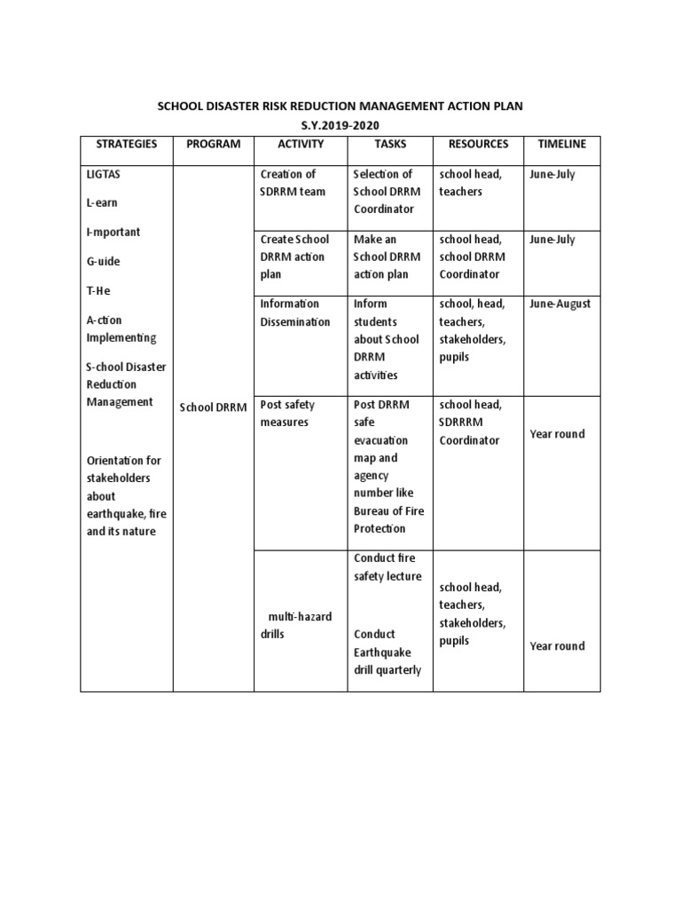 SDRRMC Action Plan | PDF