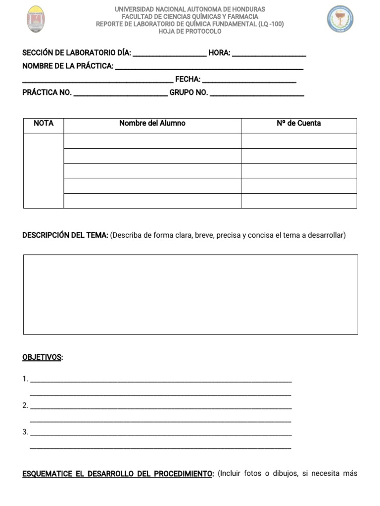 Formato de Reporte LQ 100 | PDF