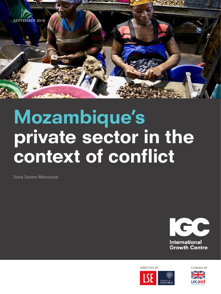 Mozambique Case Study | PDF | Mozambique | Remittance