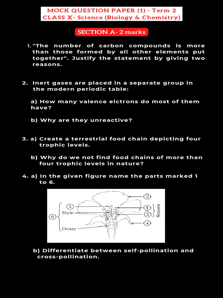 Mock Paper CLASS X Science | PDF | Periodic Table | Chemical Compounds