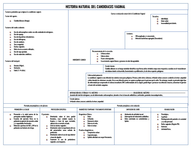 Candidiasis Vaginal: Causas y Síntomas | PDF | Candidiasis | Epidemiología