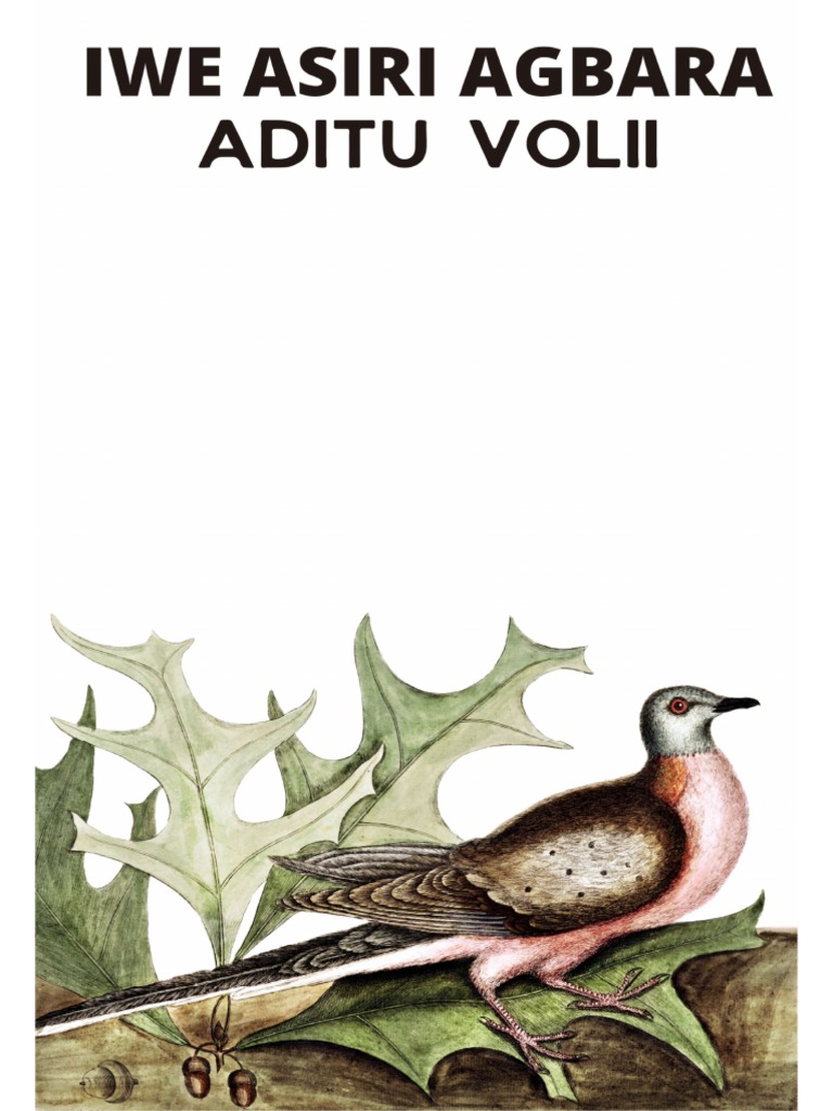 Iwe Asiri Agbara Aditu Volii Complete. | PDF