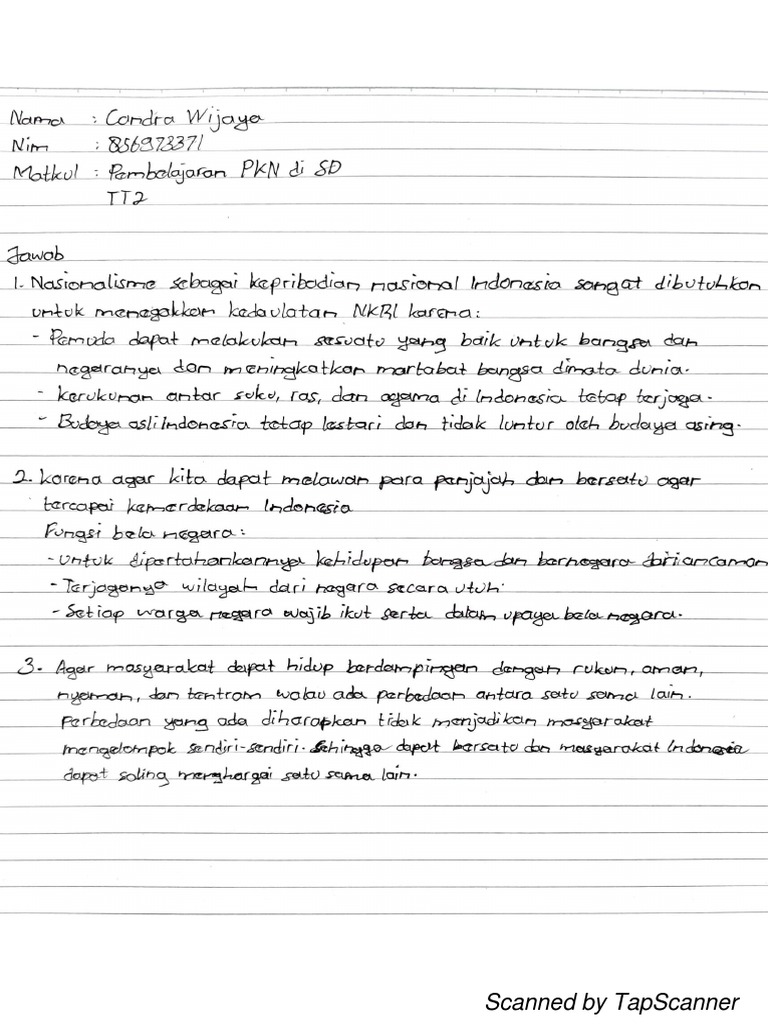 Tt2 - Pembelajaran PKN Di SD - Candra Wijaya - 856973371 | PDF