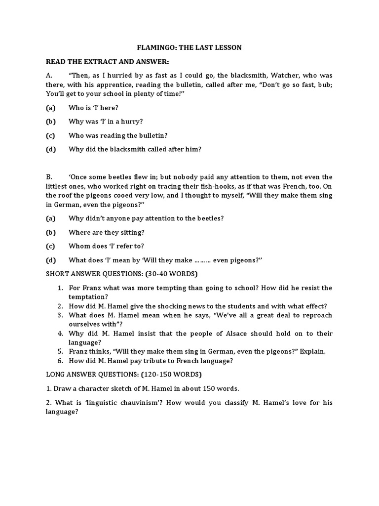 M. Hamel's Last Lesson Insights | PDF | Foreign Language Studies | Classics