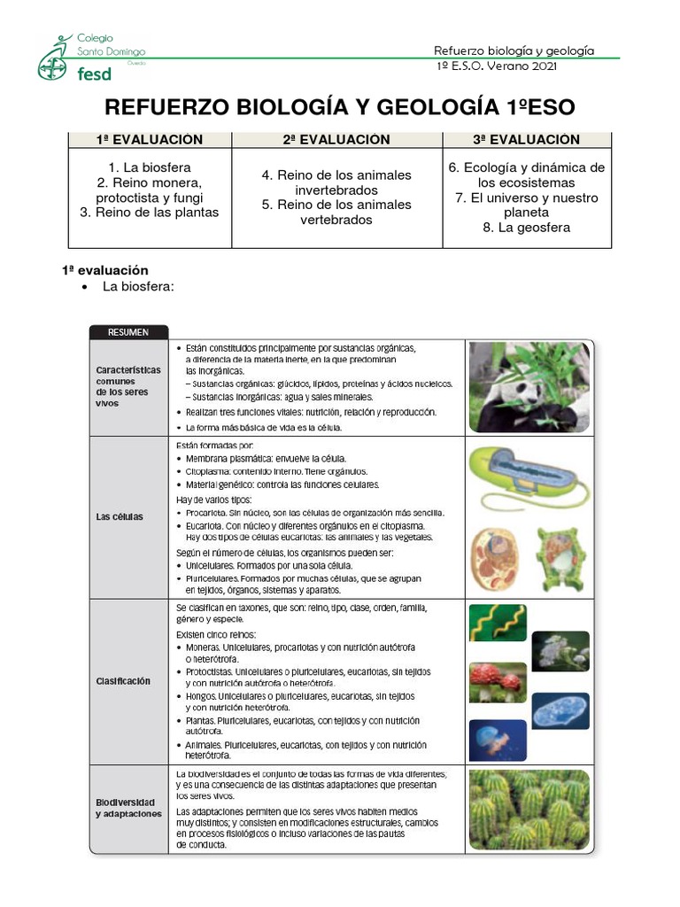 Refuerzo Biología y Geología 1º ESO | PDF | Biología | Ecosistema