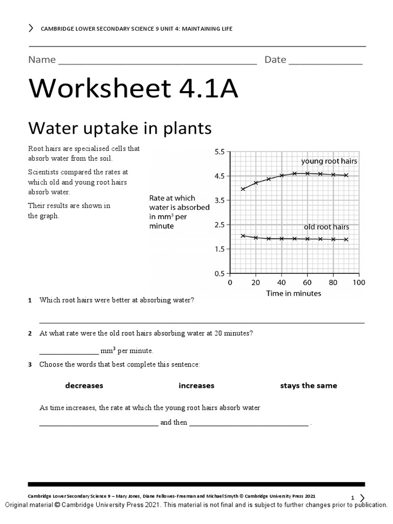 S9 Unit 4 Worksheets | PDF | Root | Leaf