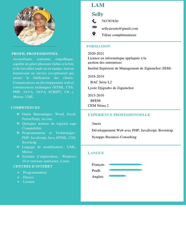 CV Selly Lam | PDF | Ordinateurs